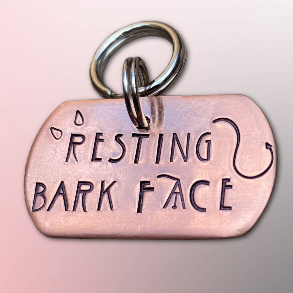 The Salty Dog Collection | Pet ID Tags | Swanky Dog Boutique